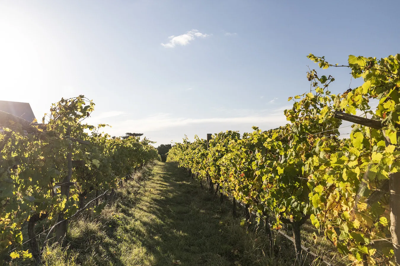 Werribee Accommodation | Award Winning Hotel in Werribee